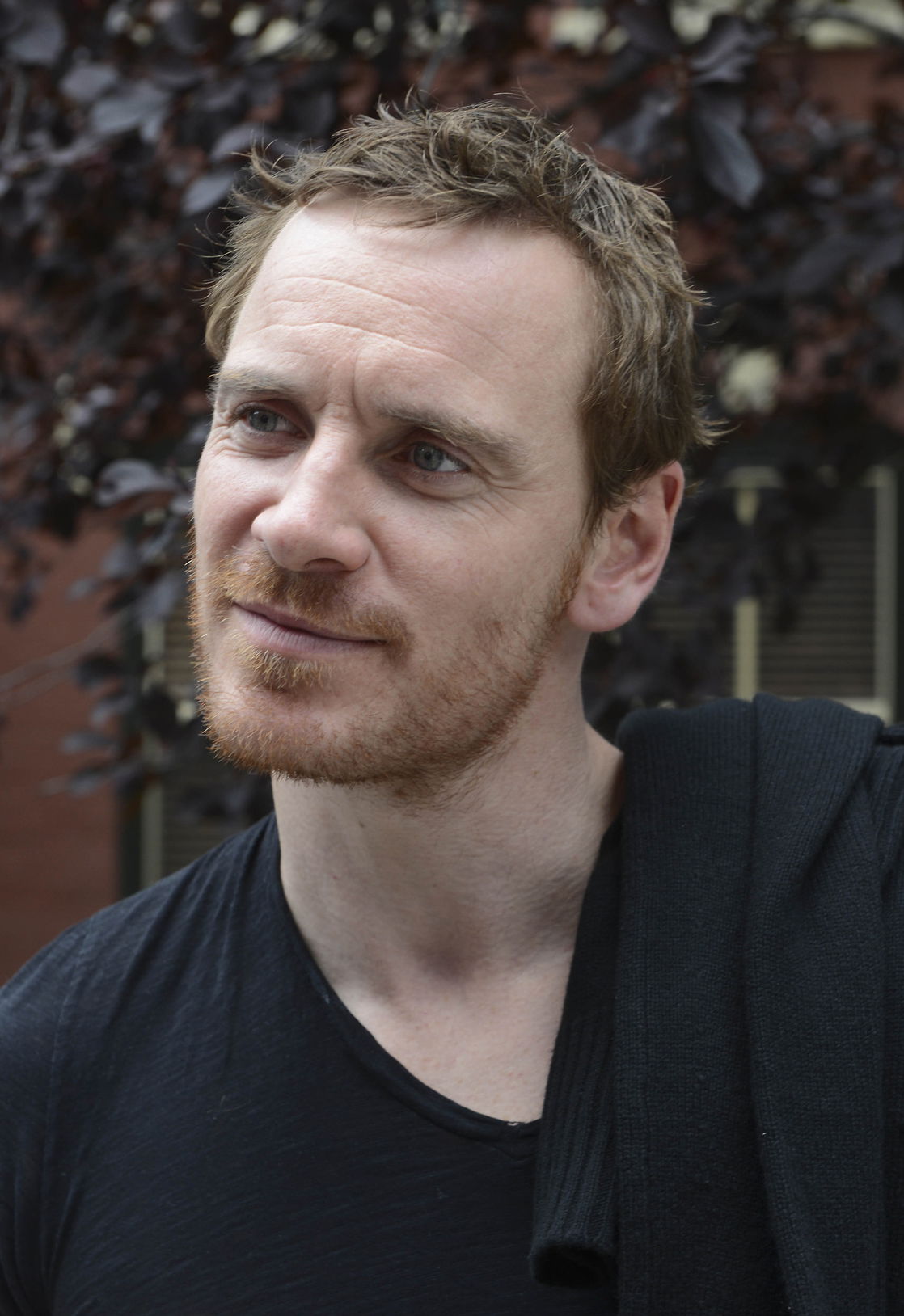 Michael Fassbender picture