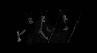 Dark Tribe pictures and photos