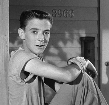 Picture of Tim Considine