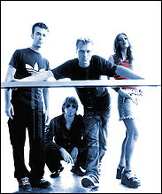 Black Lab pictures and photos