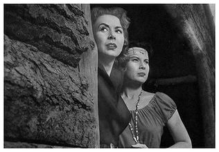 Susan Cummings pictures and photos