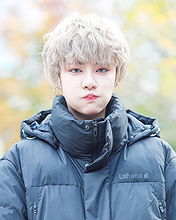 Miya pictures and photos