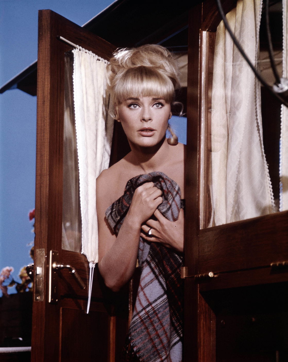 Picture of Elke Sommer