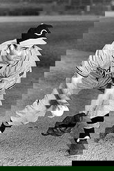 Lou Boudreau pictures and photos