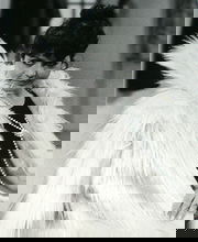 Fiona Gaunt pictures and photos