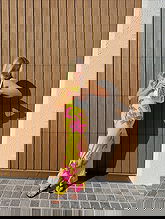 Peyton Cole pictures and photos