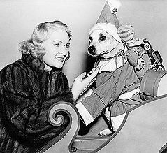 Virginia Dale pictures and photos