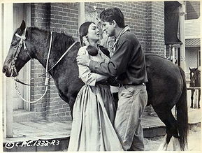 Maureen Hingert pictures and photos