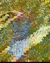 Anna Olis pictures and photos