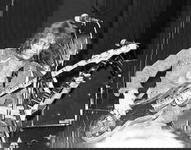 Greg Ridley pictures and photos