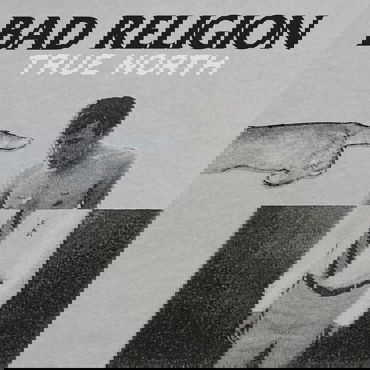 Review of True North