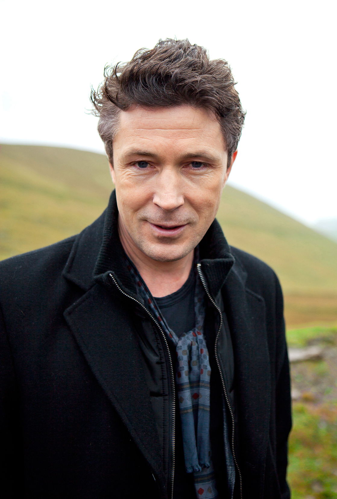 Picture of Aidan Gillen