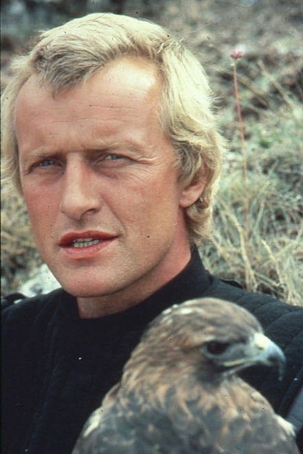 Jack Nicholson image