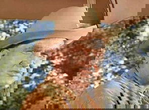 Karl Swenson pictures and photos