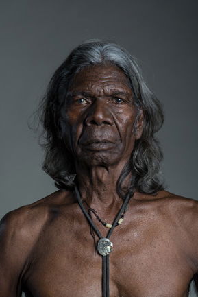 David Gulpilil image