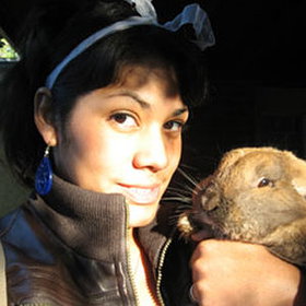 Gina N. Turcios