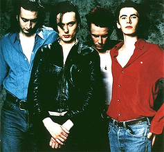 Suede pictures and photos
