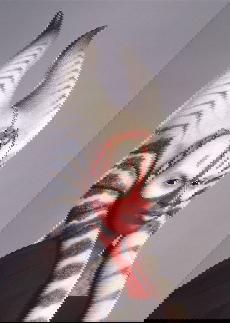 Shaak Ti a review of Shaak Ti