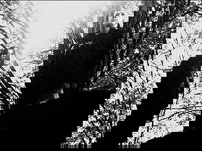 Yearning pictures and photos