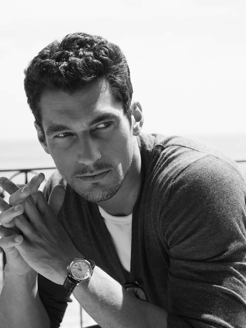 Picture of David Gandy