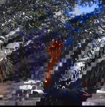 Alain Delon pictures and photos