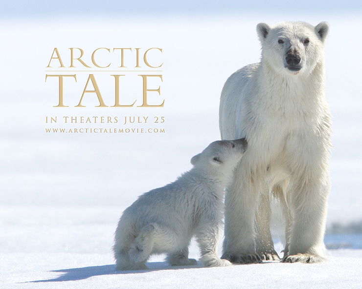 Cute Movie a review of Arctic Tale