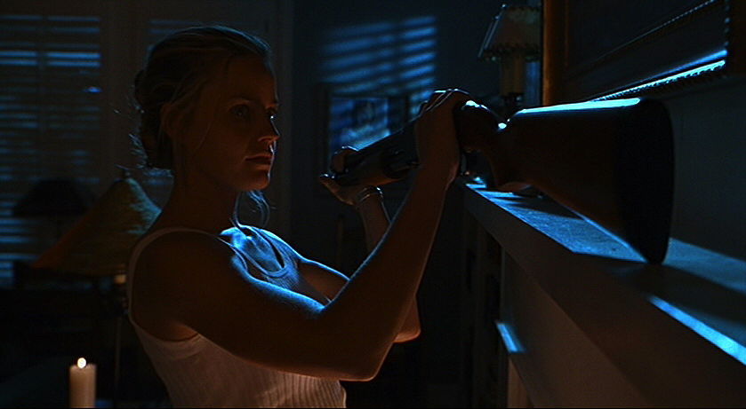 The Trigger Effect (1996) picture