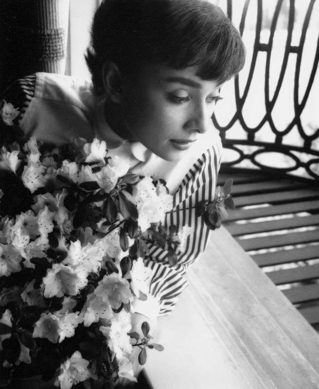Picture of Audrey Hepburn
