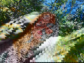 Darci Lynne Farmer pictures and photos