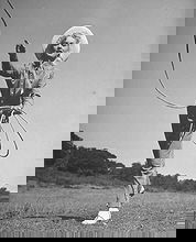 Barbara Moffett pictures and photos