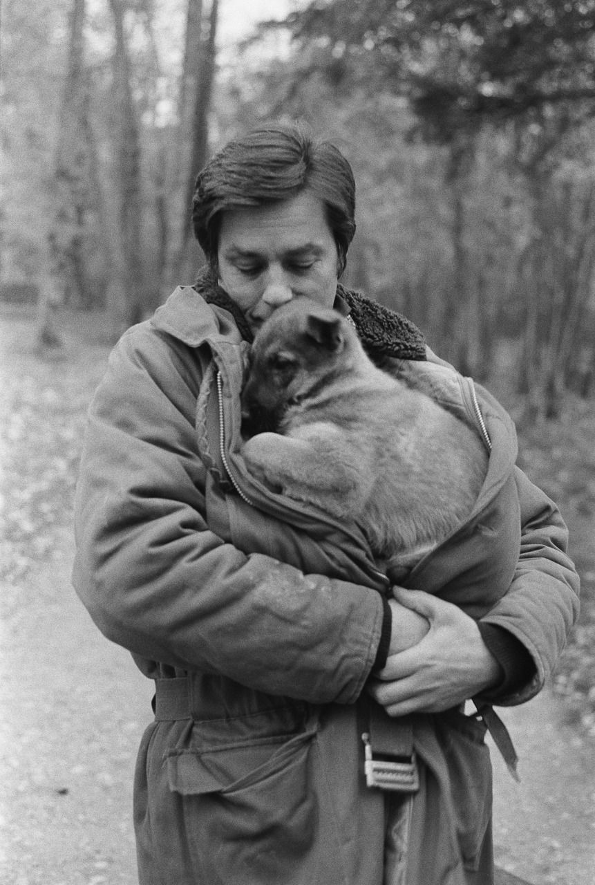 Picture of Alain Delon